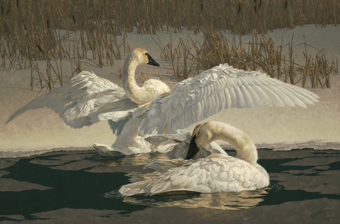 Greg Beecham Studio (@gregbeechamart) さんのイラスト・マンガ作品まとめ (37 件) - Twoucan