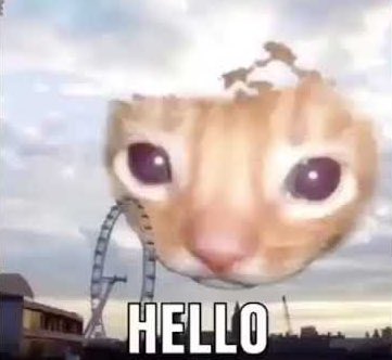 「cat in the sky .. hello 」gioの漫画