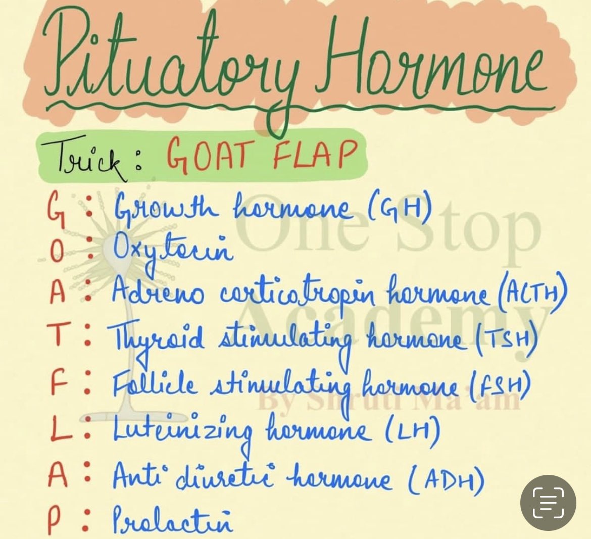 Pituitary Gland Hormones Mnemonic