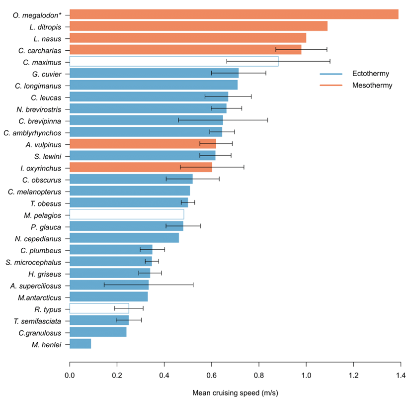 Pimiento Research Group on Twitter: "The estimated body mass (& its relationships with ...