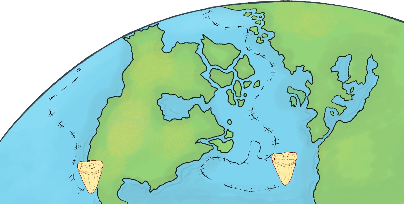 Pimiento Research Group on Twitter: "Such a fast cruising speed suggests that megalodon could ...