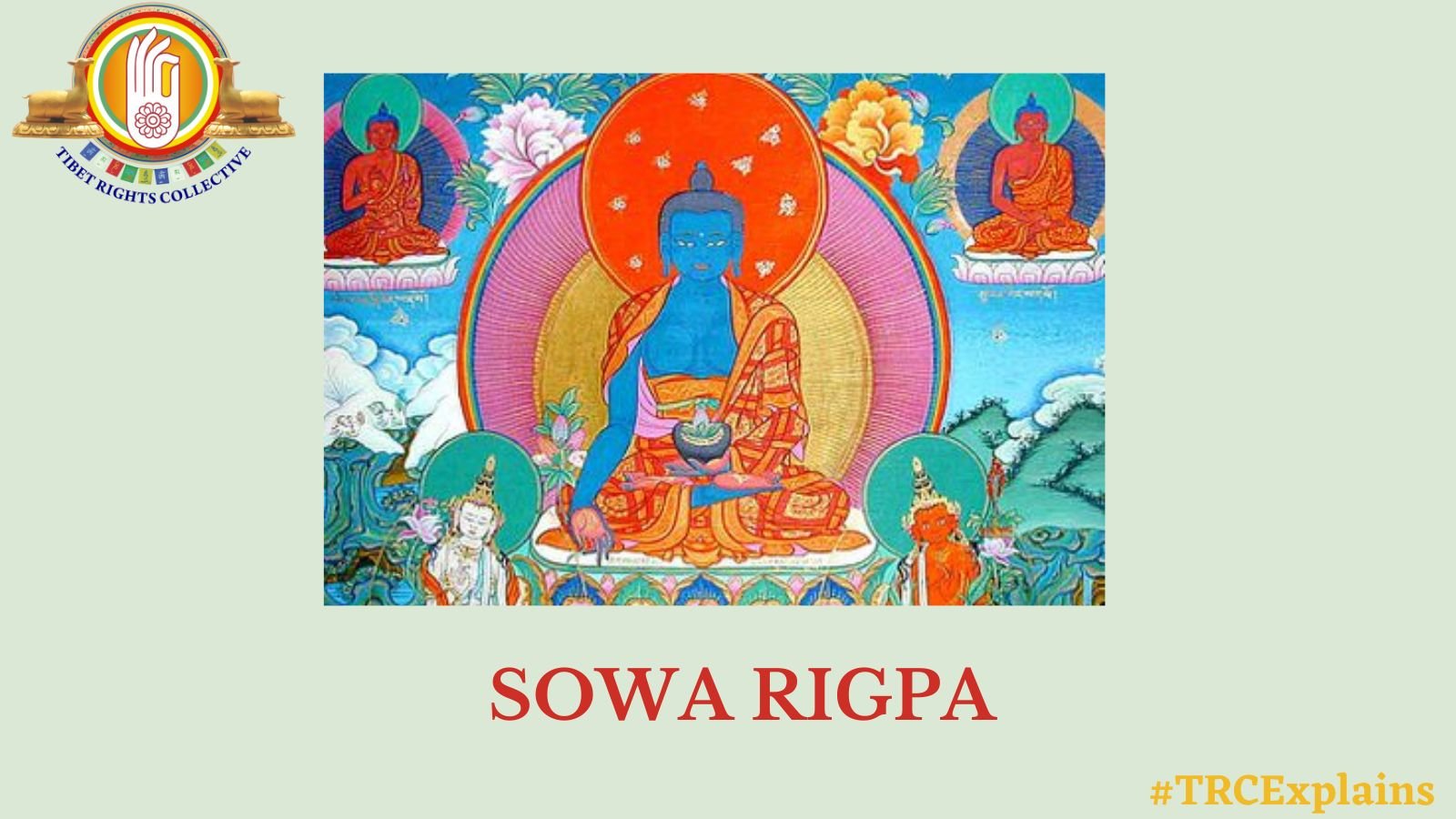 Tibet Rights Collective on Twitter: "#Tibetan system of medicine, known as Sowa Rigpa or the Art ...