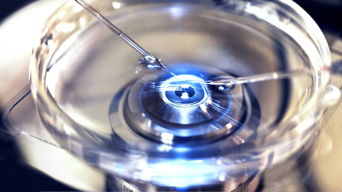 How In vitro fertilization (IVF) works In 1978, Louise Brown became the ...