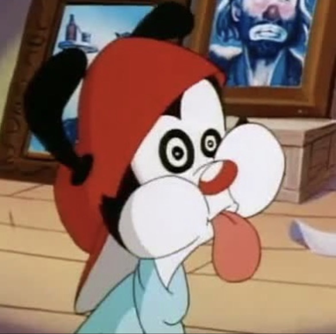 Animaniacs Wakko Face