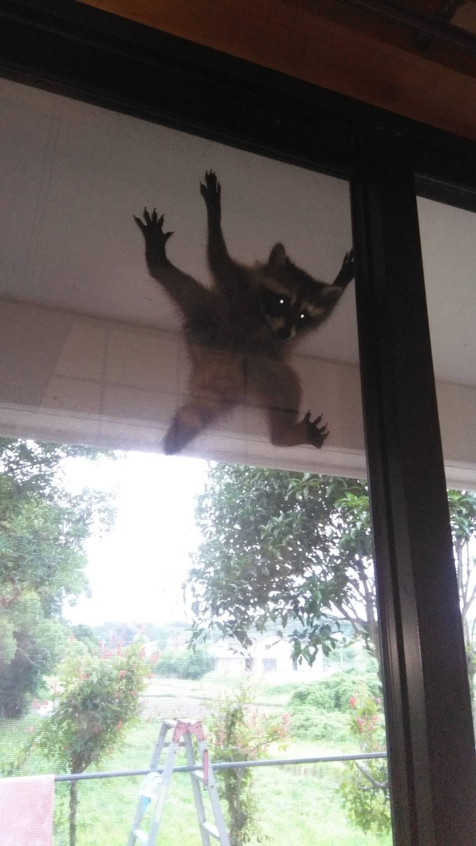 IFY (@IfyNwadiwe) / Twitter