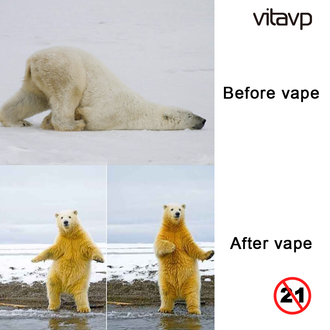 21 Funny Jokes About Bears