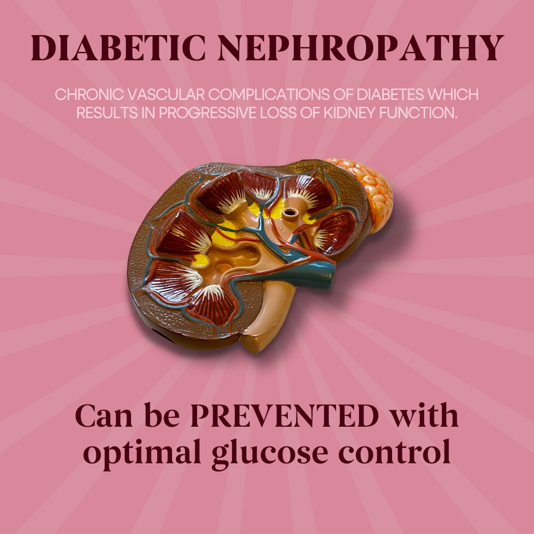 Diabetic Nephropathy Images