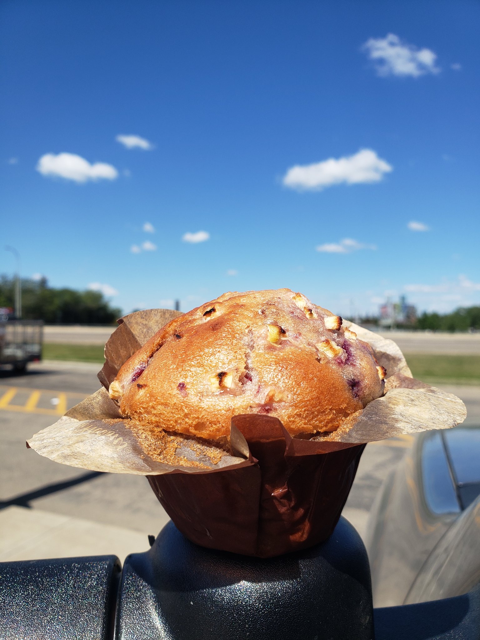 Stuffy The Muffin on Twitter: "Working on my #tan on this #hot day. # ...