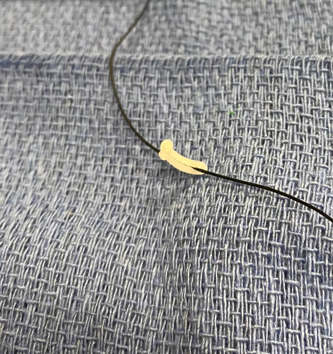 so Let us have a look at these Weck Hemolok clips you speak of. a 🧵 ...