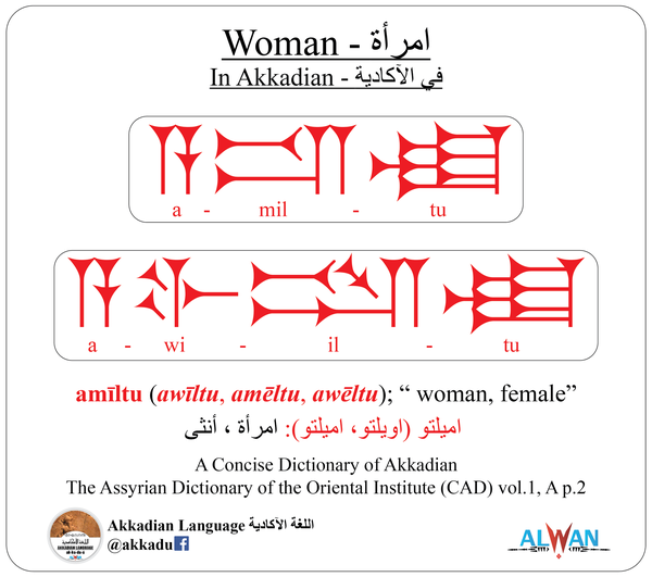 Akkadian Language