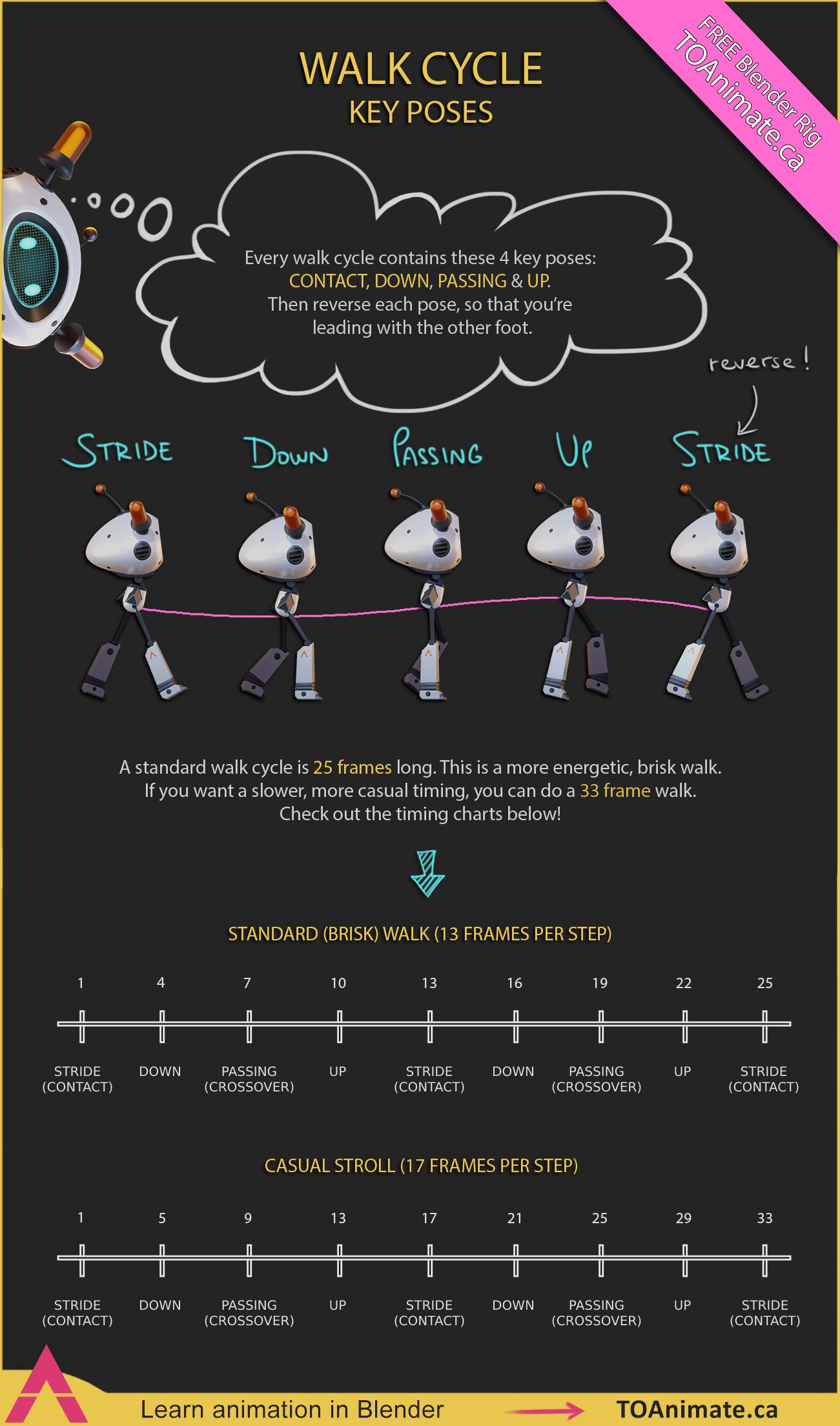 Infographic Animation Tips