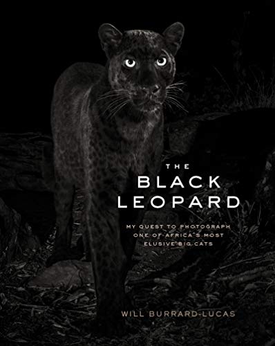 Download# The Black Leopard: My Quest to Photograph One of Africa's Most Elusive Big Cats by ...