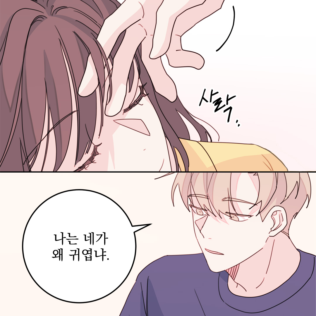 피플앤스토리 On Twitter 소꿉친구를 짝사랑하는 도희🥺 그런 도희를 좋아하는 원영선배 🥰 둘의 운명은 •̀