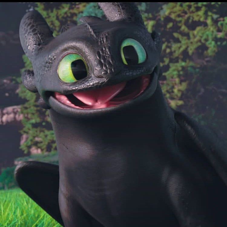 Toothless How To Train Your Dragon Smile