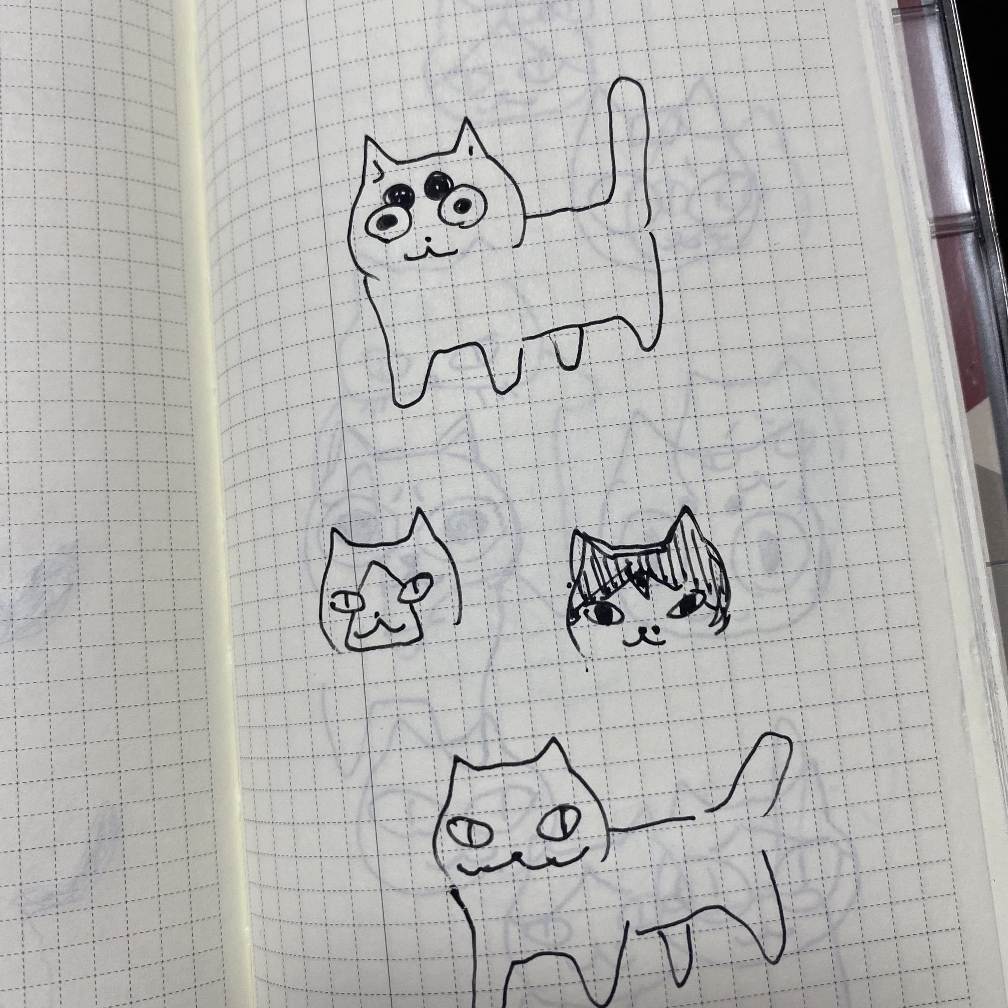 みずしな孝之「きりもやびより」3巻823発売 On Twitter きりもやびより開始前のキャラ推敲メモ 最初はレトリバーにしようと思ってたみたい