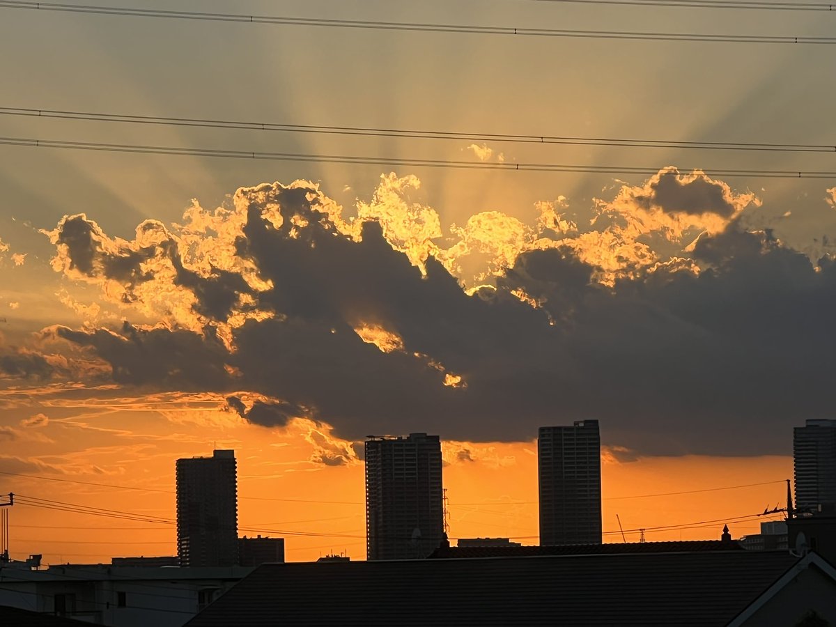 あーたん(@pi_tan) - Twilog