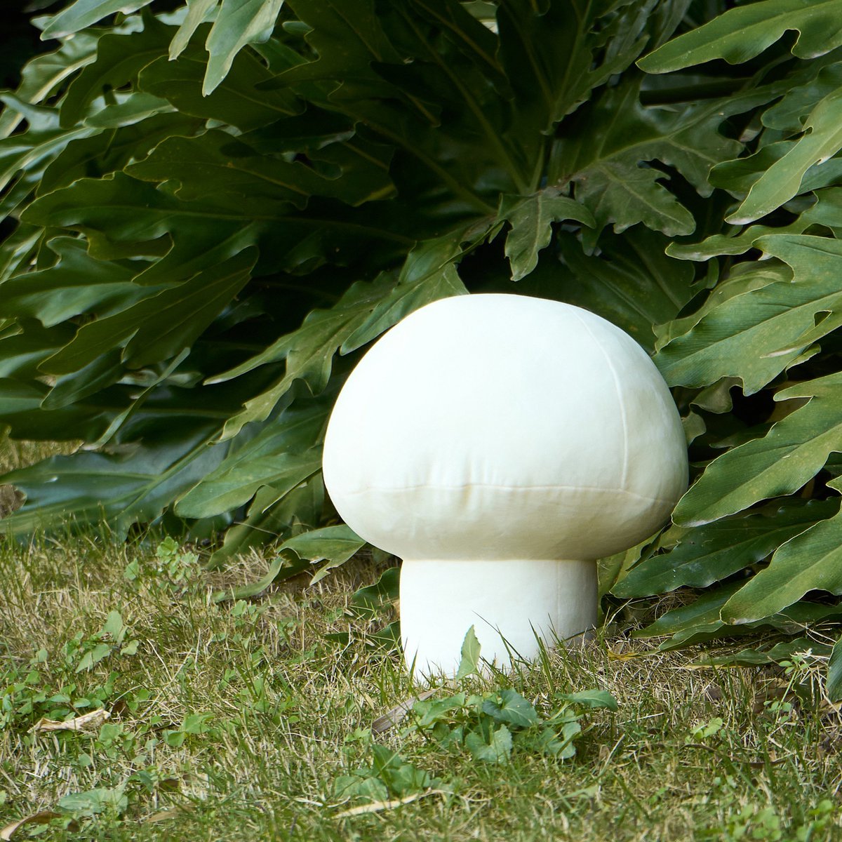 타마고치 on Twitter: "RT @SySliver: 버섯입니다만 * 쿠션으로 사용하실 수 있습니다 * 먹지마세요 * 재질 : pp면 + 스판덱스 * 가격 : 2만원 ...