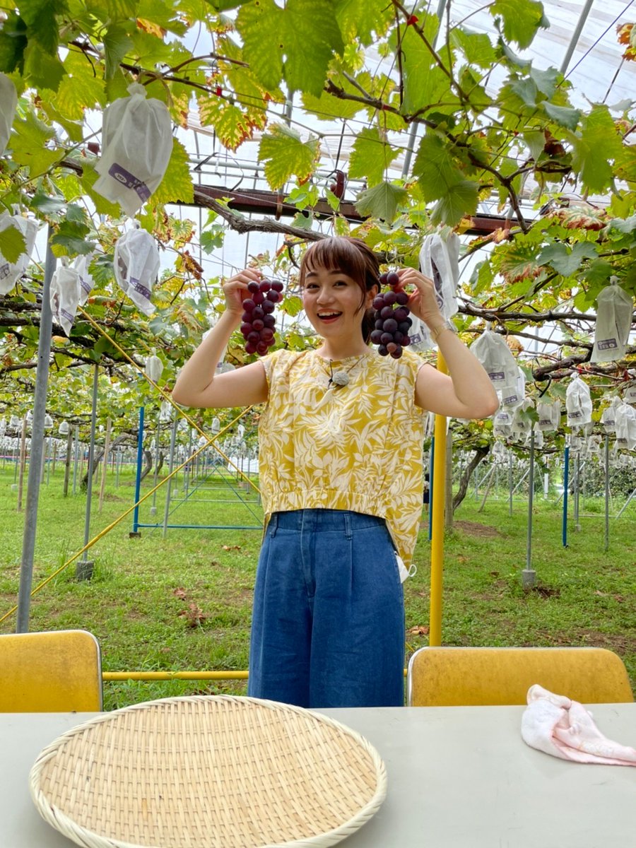 ぷらナビ+(@planavi_plus) - Twilog (ツイログ)