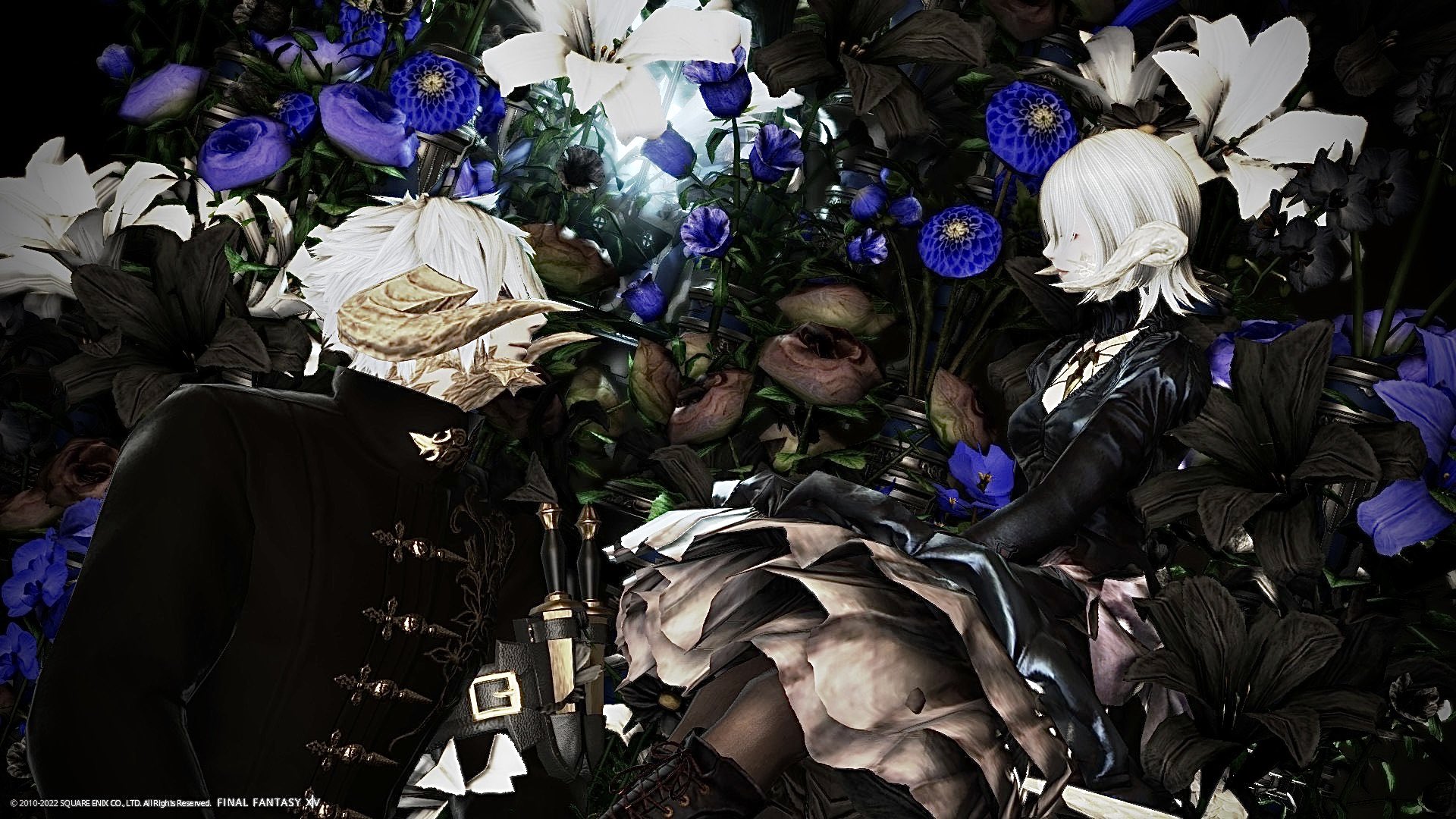 ♦️Spinel White🤍 on Twitter: "すっぽり収まっちゃうアウラちゃ可愛いね………………😭💕 #FF14うちのこ展 #うちのこ展_Gaia https://t.co ...