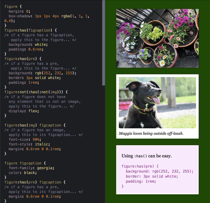 Using :has() as a CSS Parent Selector and much more – Designer Feed Using :has() as a CSS Parent Selector and much more – Designer Feed