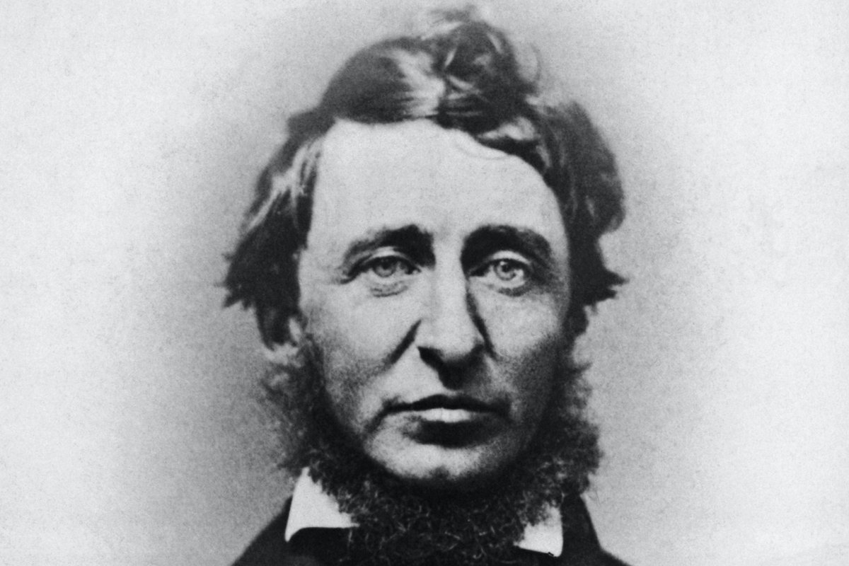 american-writers-museum-on-twitter-thank-god-men-cannot-fly-and-lay