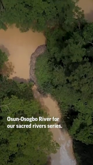 The Osun River is revered among groups in southwestern Nigeria, but has ...