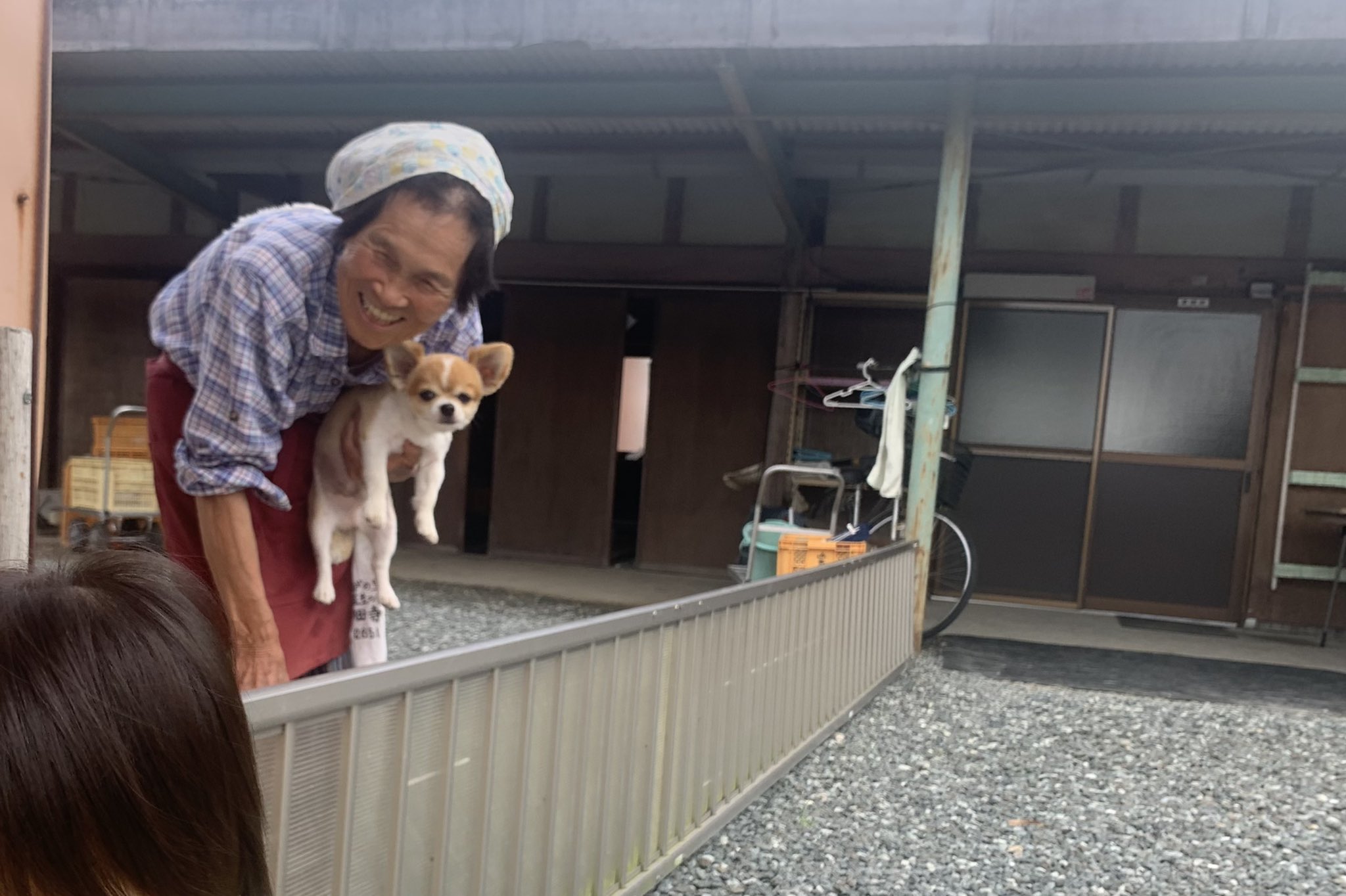 *ようさん on Twitter: "RT @chiwarwar: https://t.co/78IzNV6dYx" / Twitter