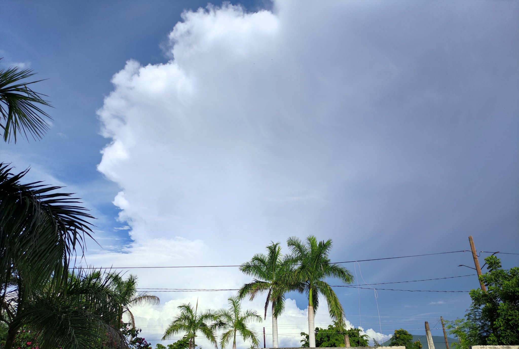 Tweets with replies by SinaStorm MX (@stmsin) / Twitter