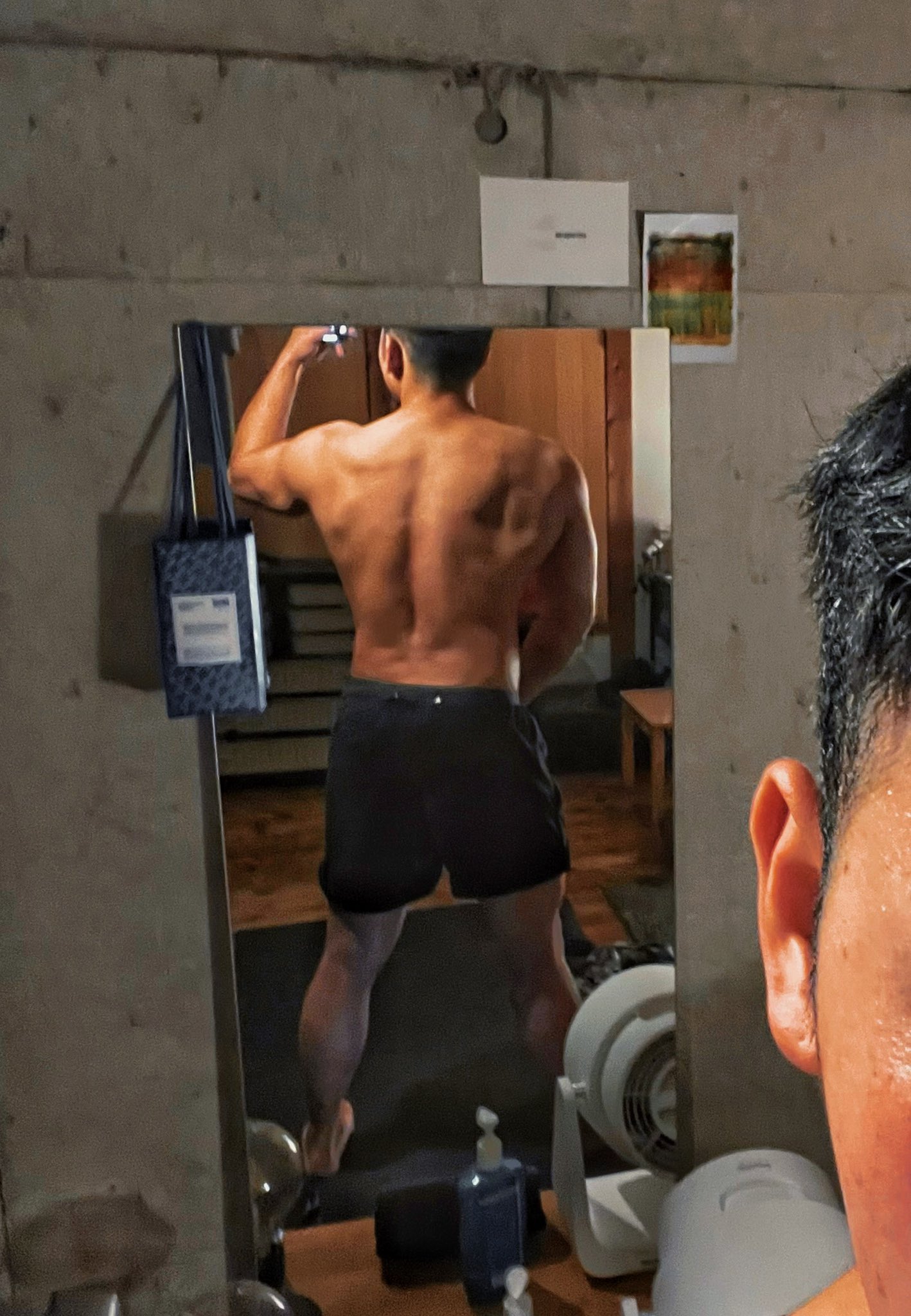 hiropark@カメラマン on Twitter: "🐯🐯🐯 https://t.co/a7jAvGdXEy" / Twitter