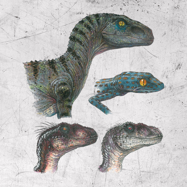 Jurassic Park 3 Velociraptor Drawing