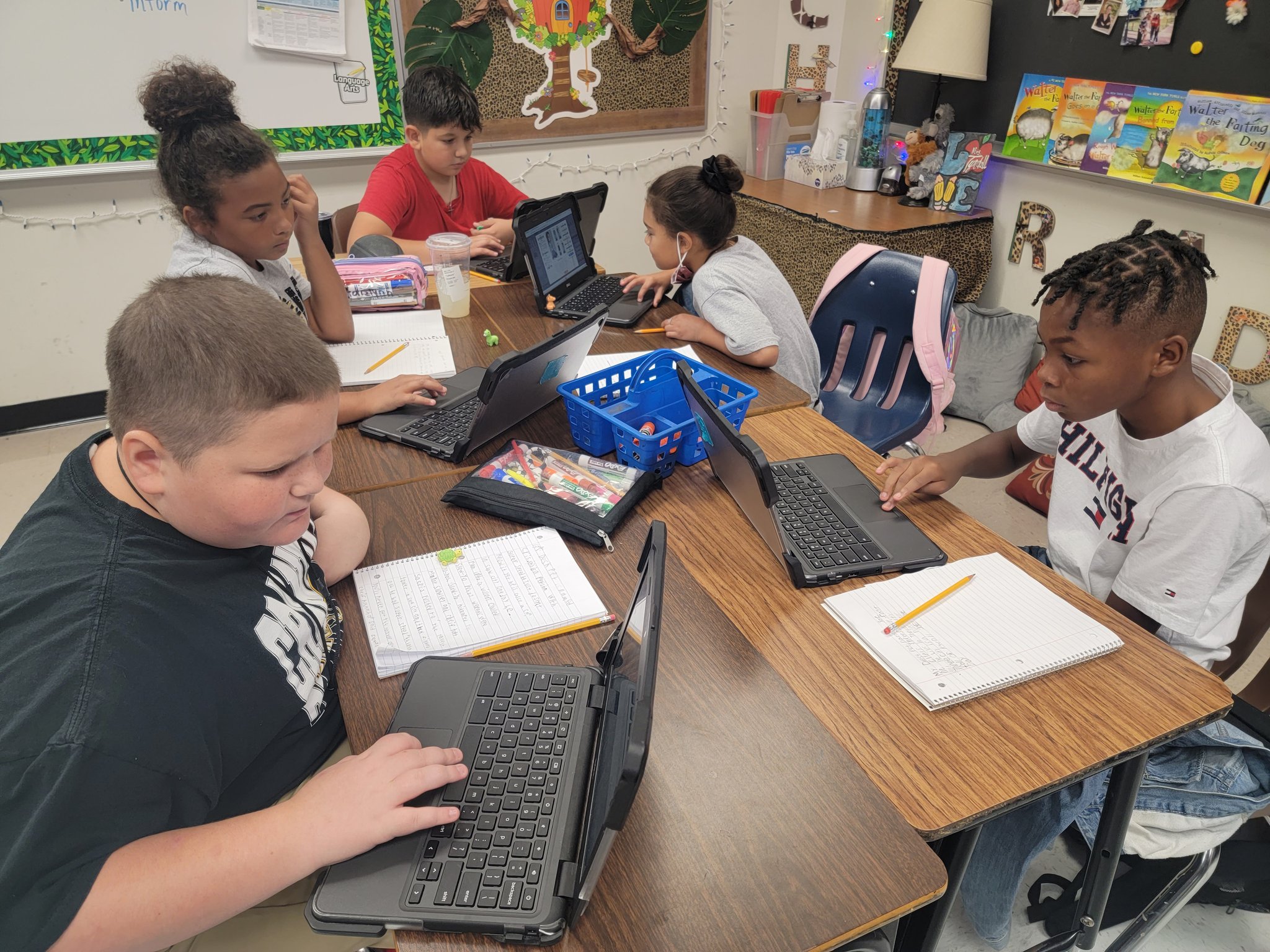 Mrs.Tyndall on Twitter: "Today, we adopted our desk pets and created ...