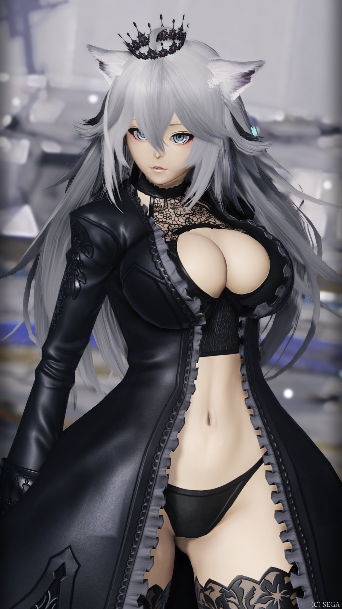 梅雪🐣 on Twitter: "にゃんころぴ🐈‍⬛ #PSO2NGS_SS https://t.co/oPiX1DqC7T" / Twitter