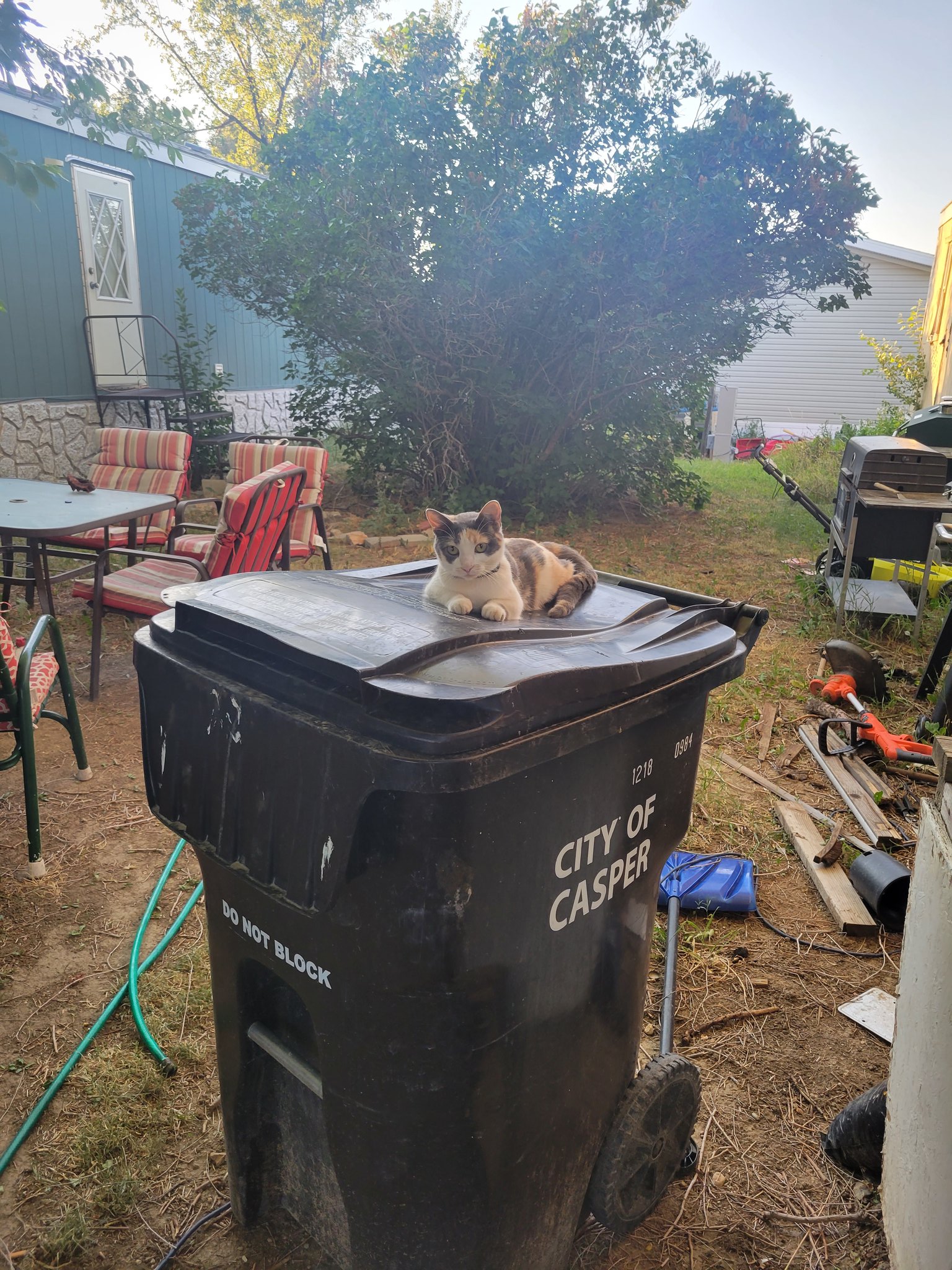 Dailyfanservice on Twitter: "@__Poke___ This isn't even all of 'em ...