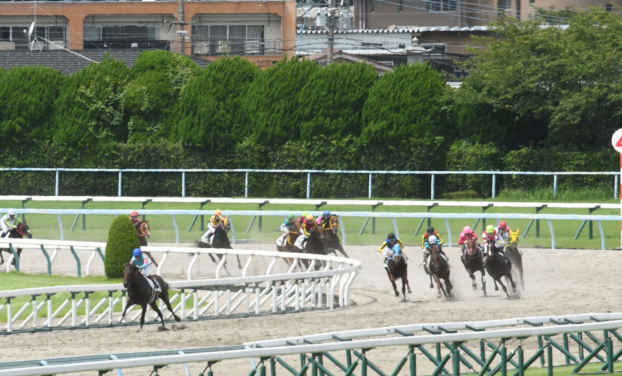 netkeiba on Twitter: "【小倉6R・2歳新馬(ダ1700)】 @Vall00001 #ヤマニンウルス #今村聖奈騎手31勝到達 #JRA平地戦史上最大着差(1986年以降 ...