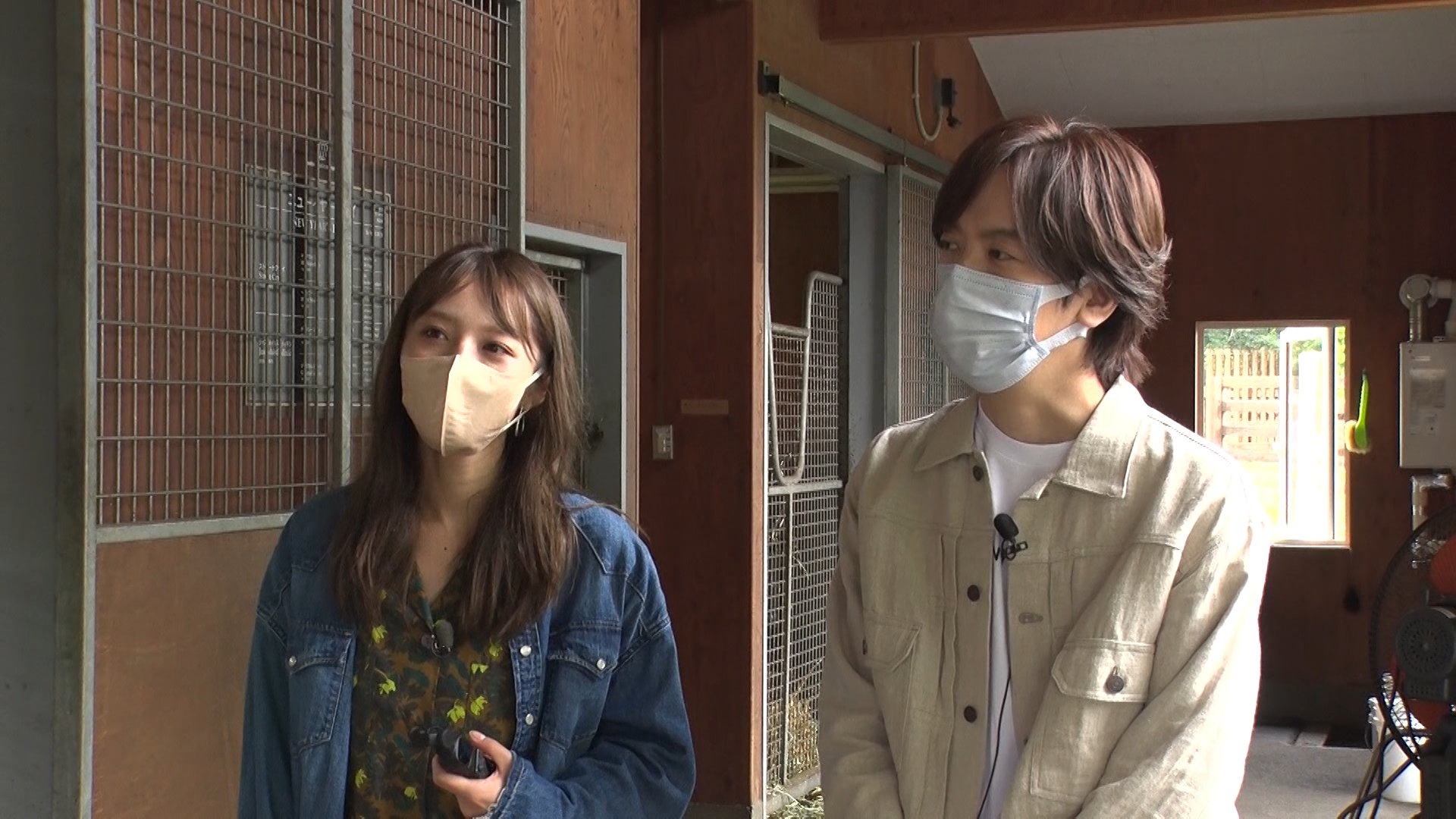 フジテレビ競馬 on Twitter: "【きょう深夜1時15分放送】 今夜の #馬好王国 は北海道の牧場めぐり第2弾 社台SSでロードカナロアやキズナなど 歴代名馬たちが続々登場!! さらに ...