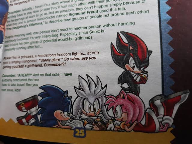 Shadow The Hedgehog With Amy