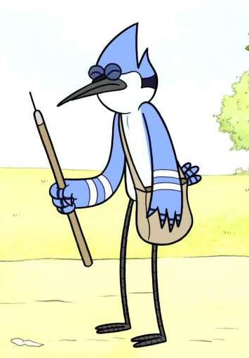 Cartoon Network Blue Bird