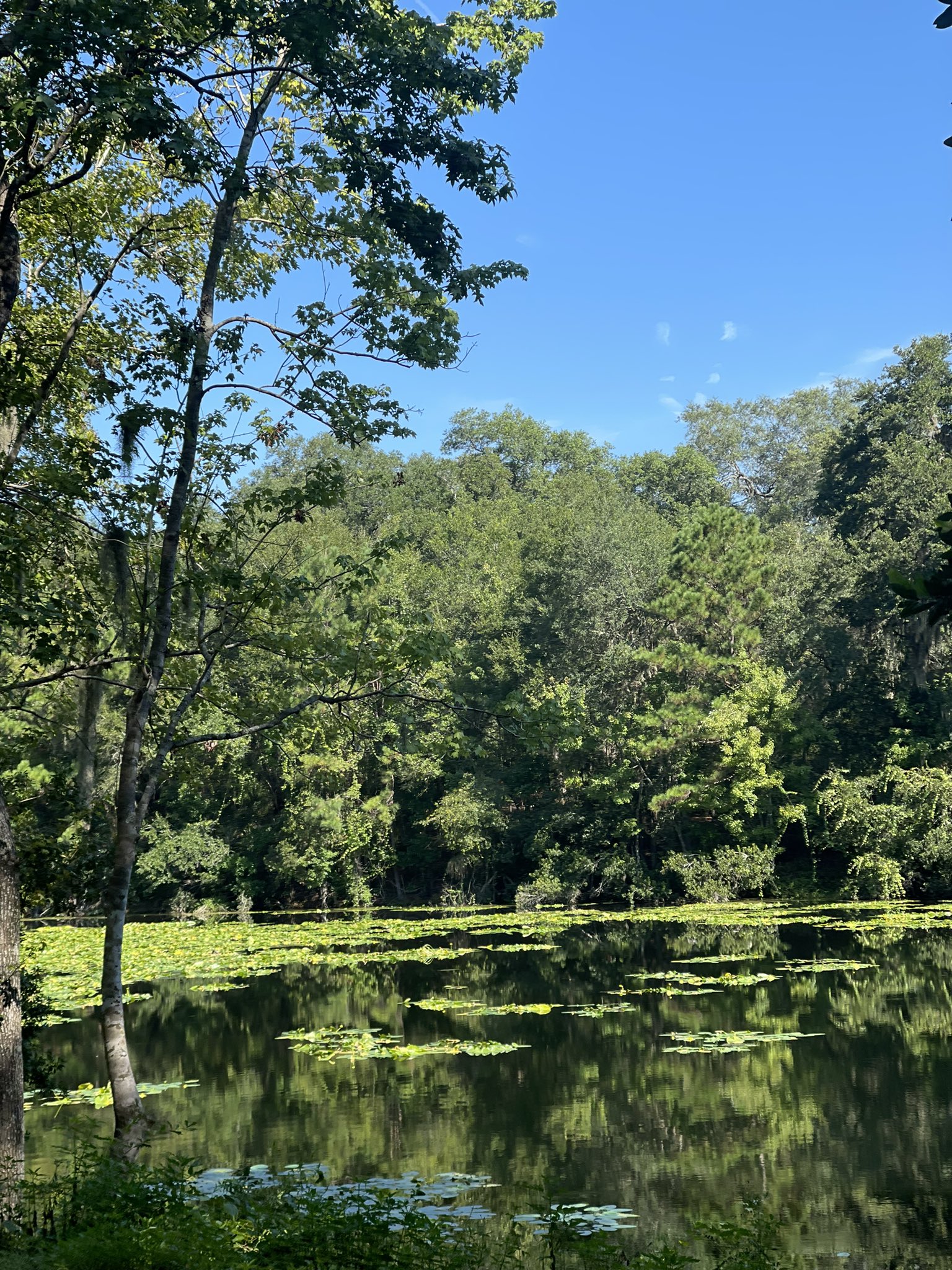 TW Pornstars - 2 pic. Creep Queen $5 OF. Twitter. 🐢 baby girl better ...