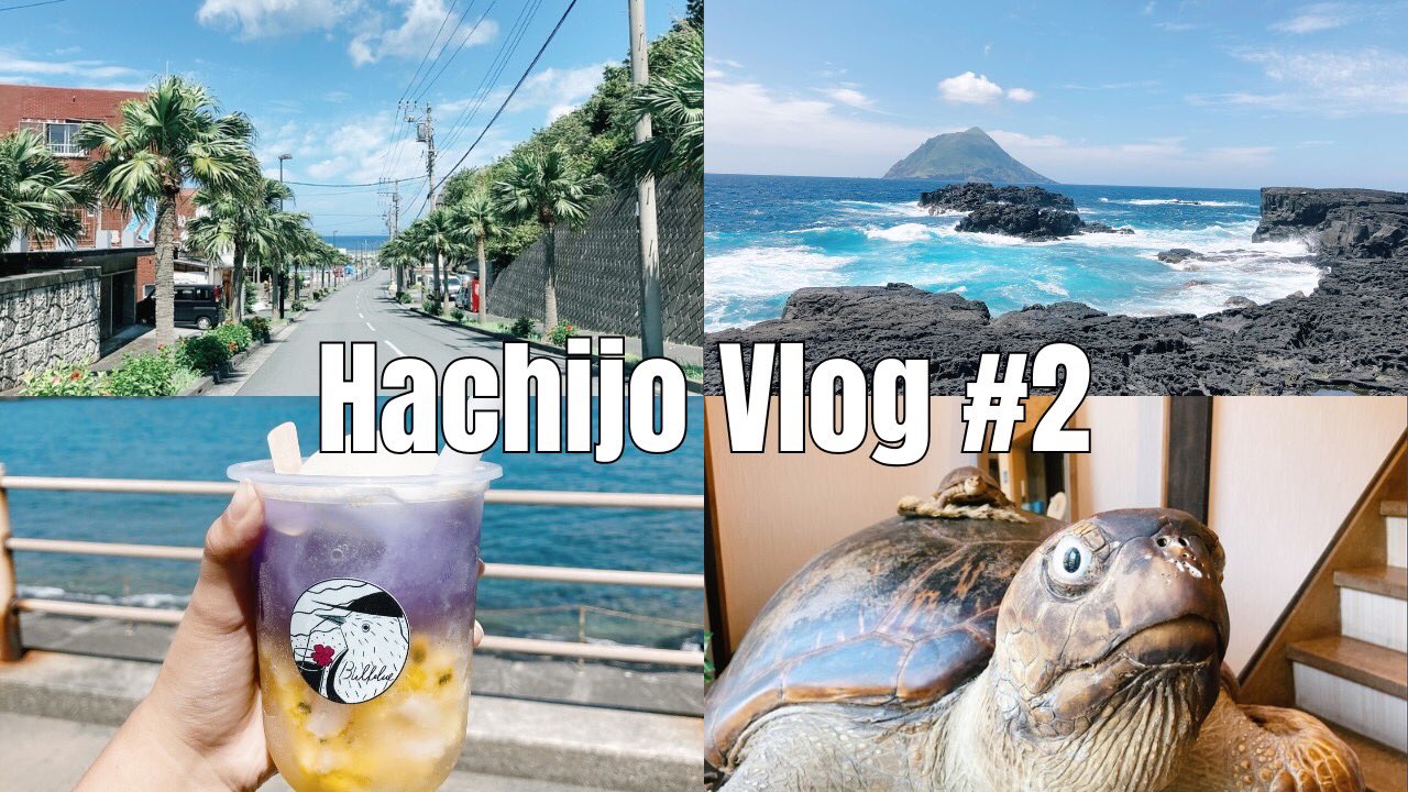 Bulblue cafe stand - vanカフェ@八丈島 - (@BulblueCafe) / Twitter