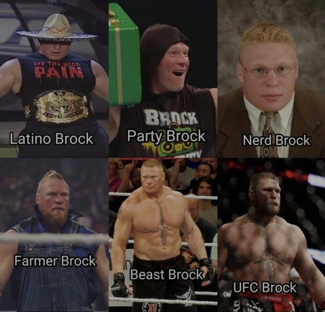 Ufc Brock Lesnar Meme