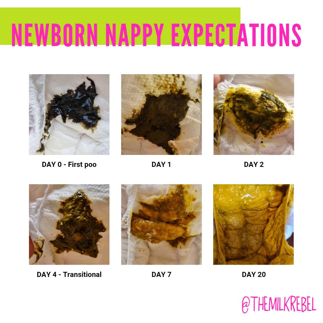 tahi baby warna hitam - Connor Scott