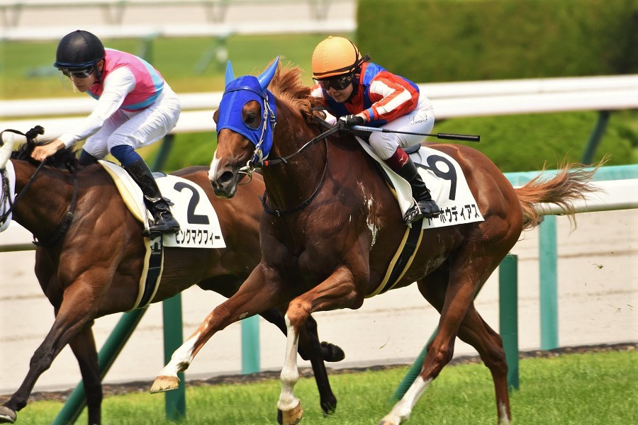 しいな on Twitter: "2022年6月19日（日） 阪神7R 3歳以上1勝ｸﾗｽ（500万円以下) #今村聖奈 #今村聖奈騎手 #JRA #ファインダーごしの私の世界 #ファインダー ...