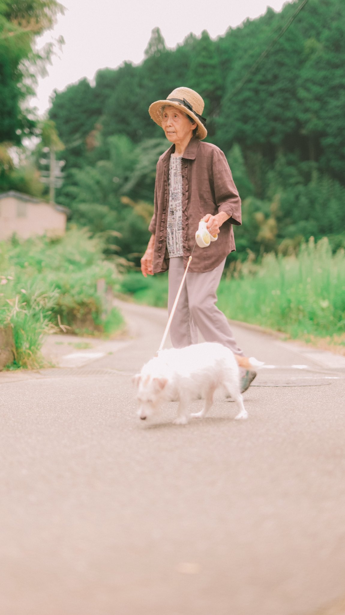 TAKASU TILE / 田舎暮らしの日常 on Twitter: "86歳👵🏼と16歳🐶コンビ https://t.co/uDY7FmJHCV" / Twitter