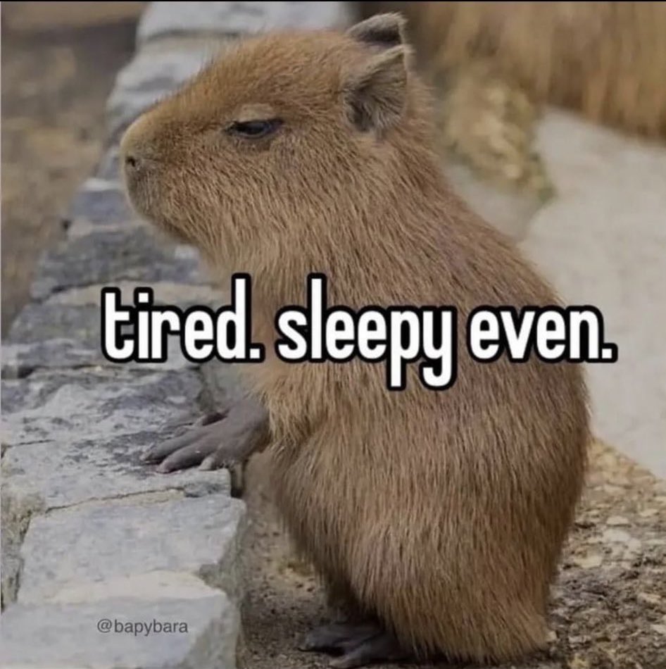 CAPYBARA MAN on Twitter: "https://t.co/kACHcodAsM" / Twitter