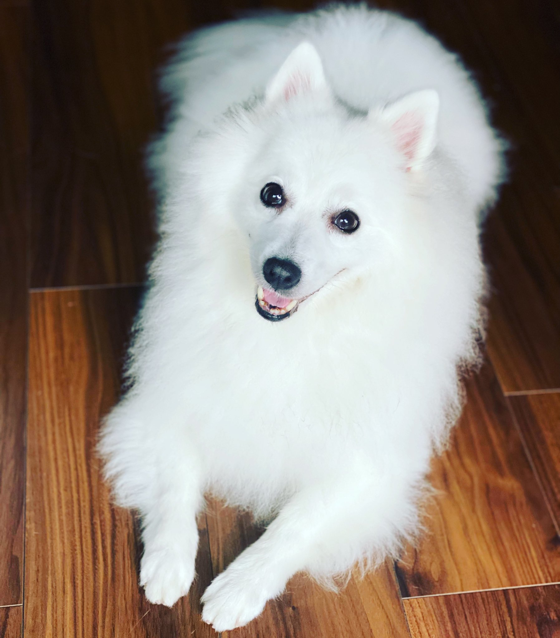 蓮舫💙💛RENHO🇯🇵 on Twitter: "おはよう😃！！！！ https://t.co/elMMIJw76o" / Twitter