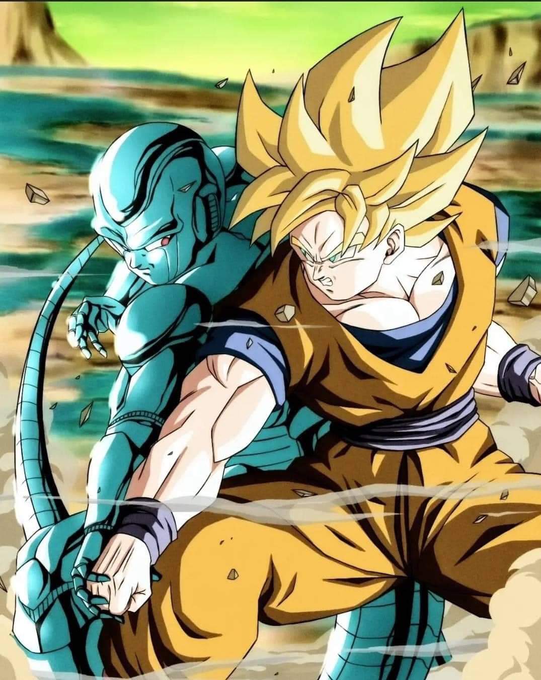 Dragon Ball Z Goku And Vegeta Vs Meta Cooler