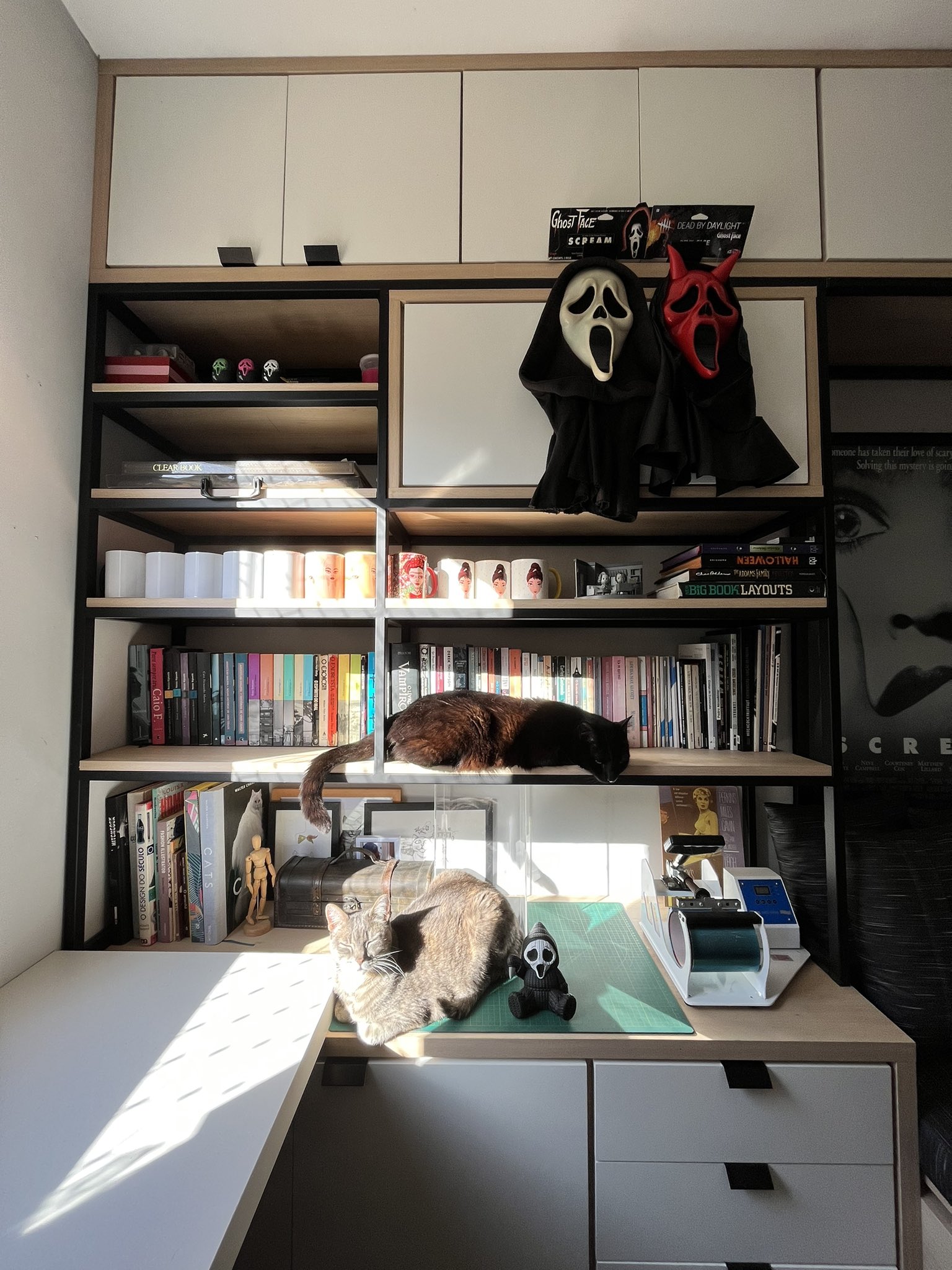 HelloSidney.com on Twitter: "Books, my cats, SCREAM and GhostFace. That’s all I need for this ...