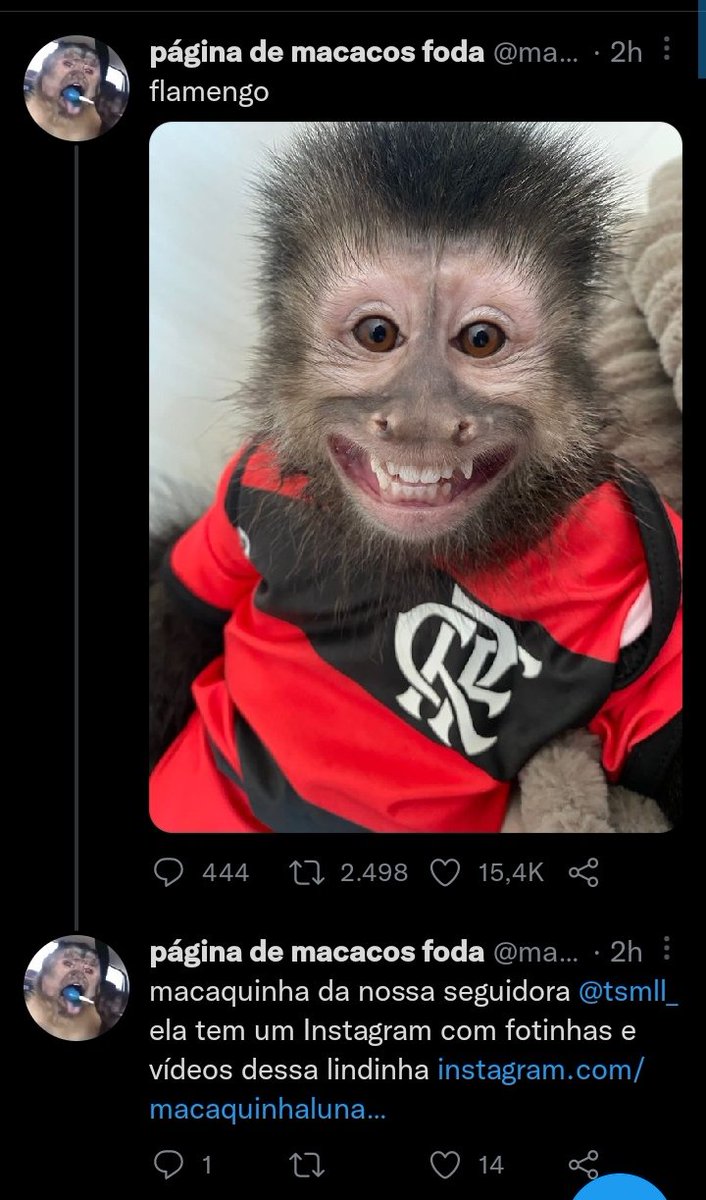 momo on Twitter: "RT @CPrimatologico: Mais uma vez esse tipo de postagem! A página de memes de ...