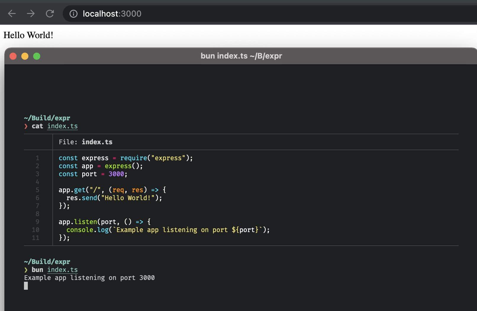 Jarred Sumner (@jarredsumner) / Twitter