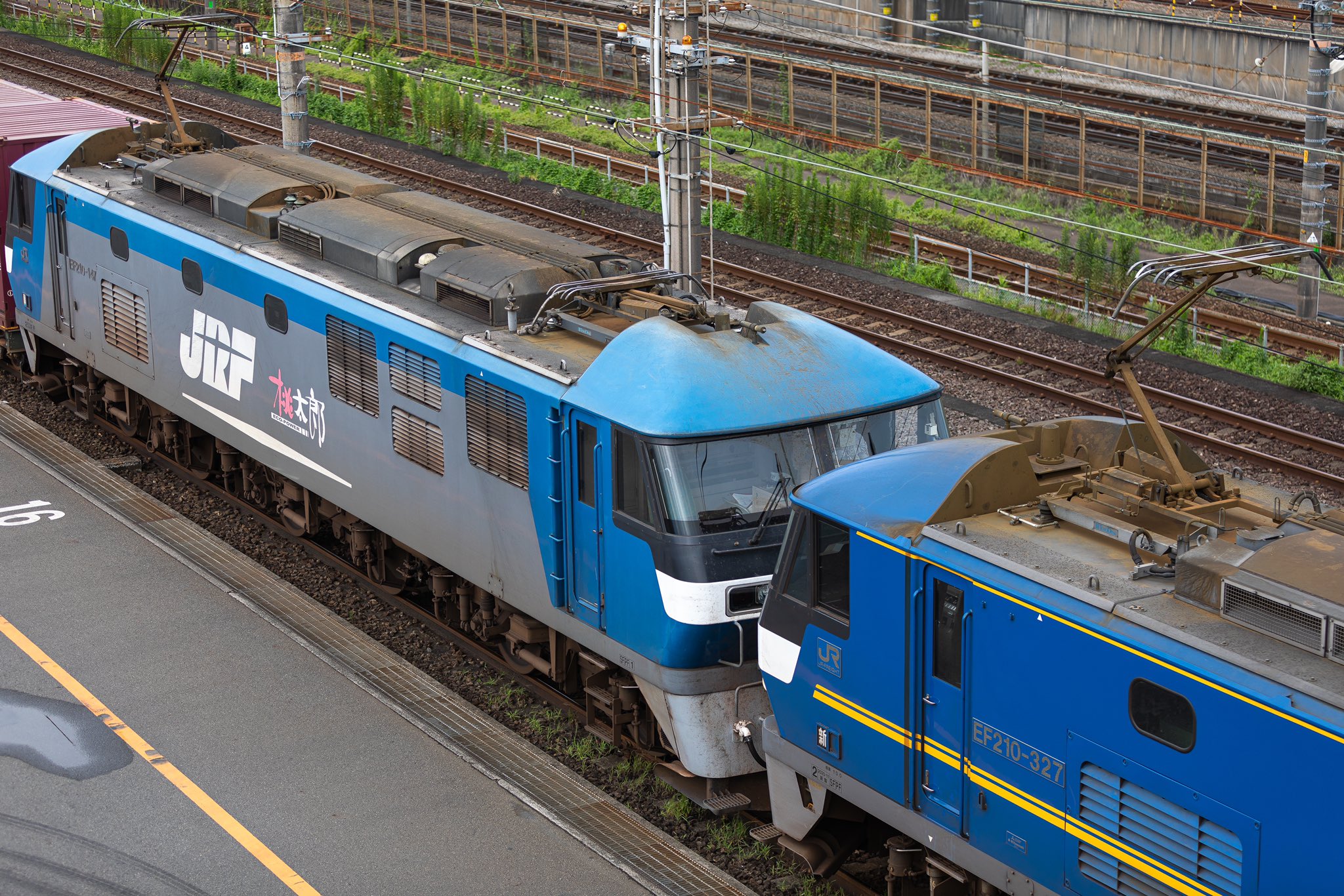 Tynpn (@tynpn23_sgsyo) / Twitter